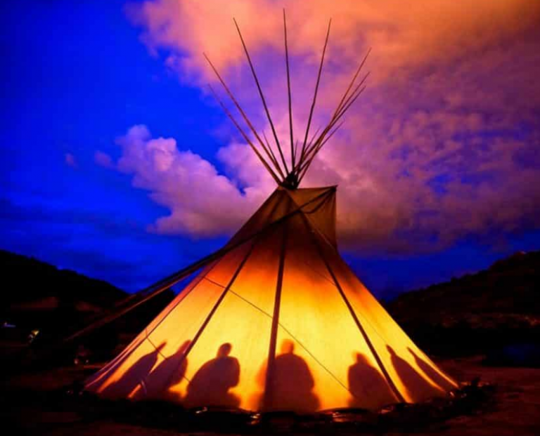 Ayahuasca Vs Peyote: What's The Difference Between The Two, Which Is ...